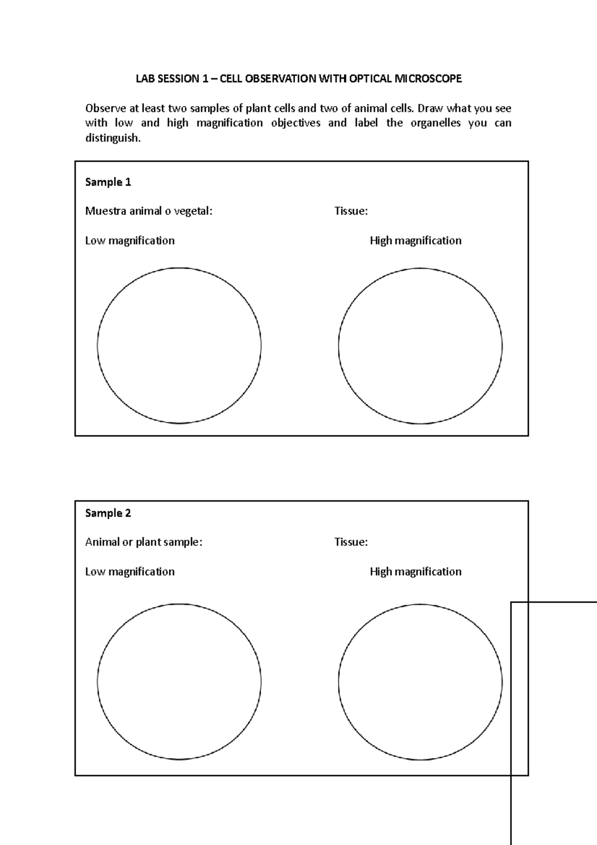Cell observation 4ESO - hola - LAB SESSION 1 – CELL OBSERVATION WITH ...