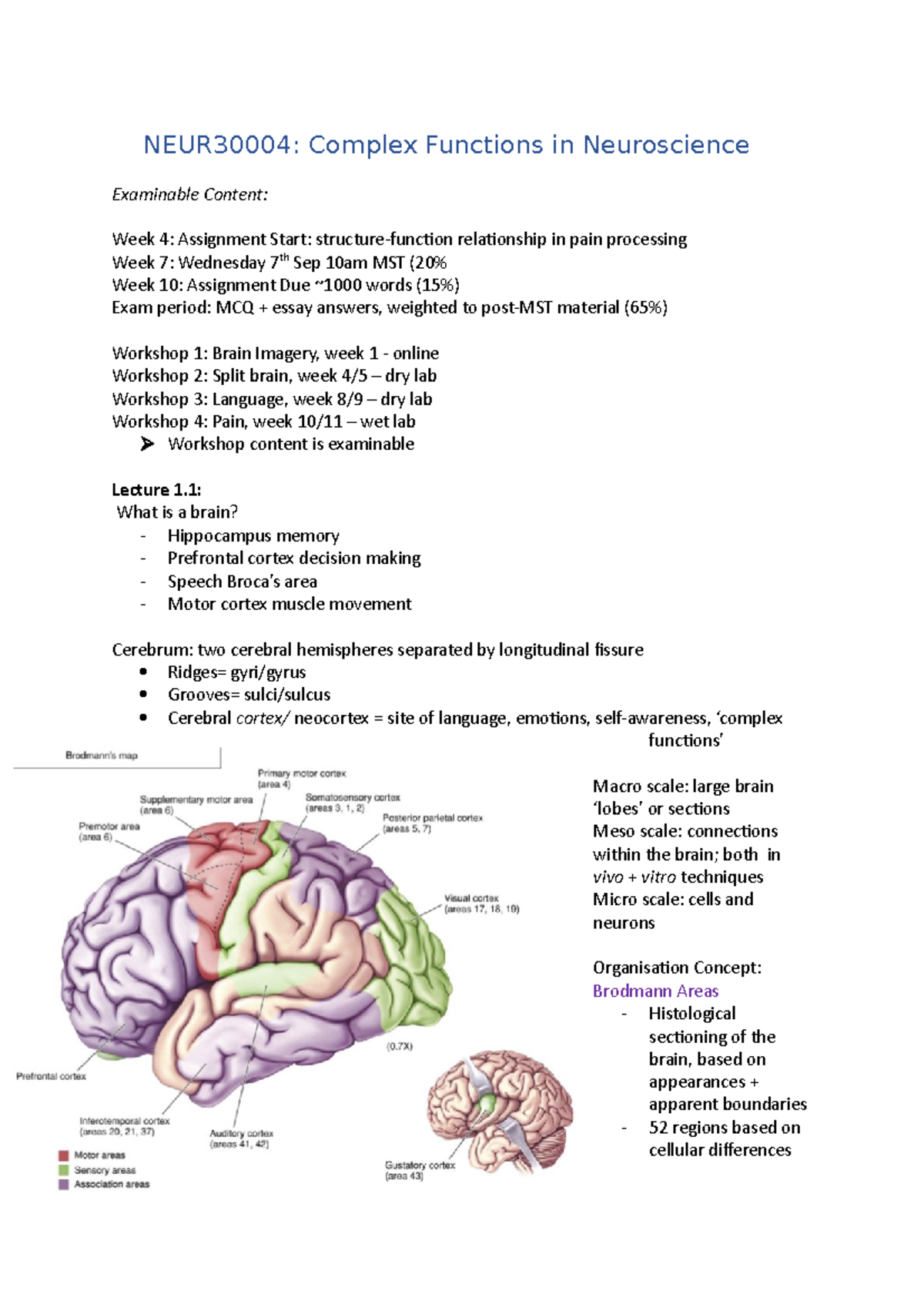 NEUR30004 lecture nots - NEUR30004: Complex Functions in Neuroscience Examinable Content: Week 4 ...