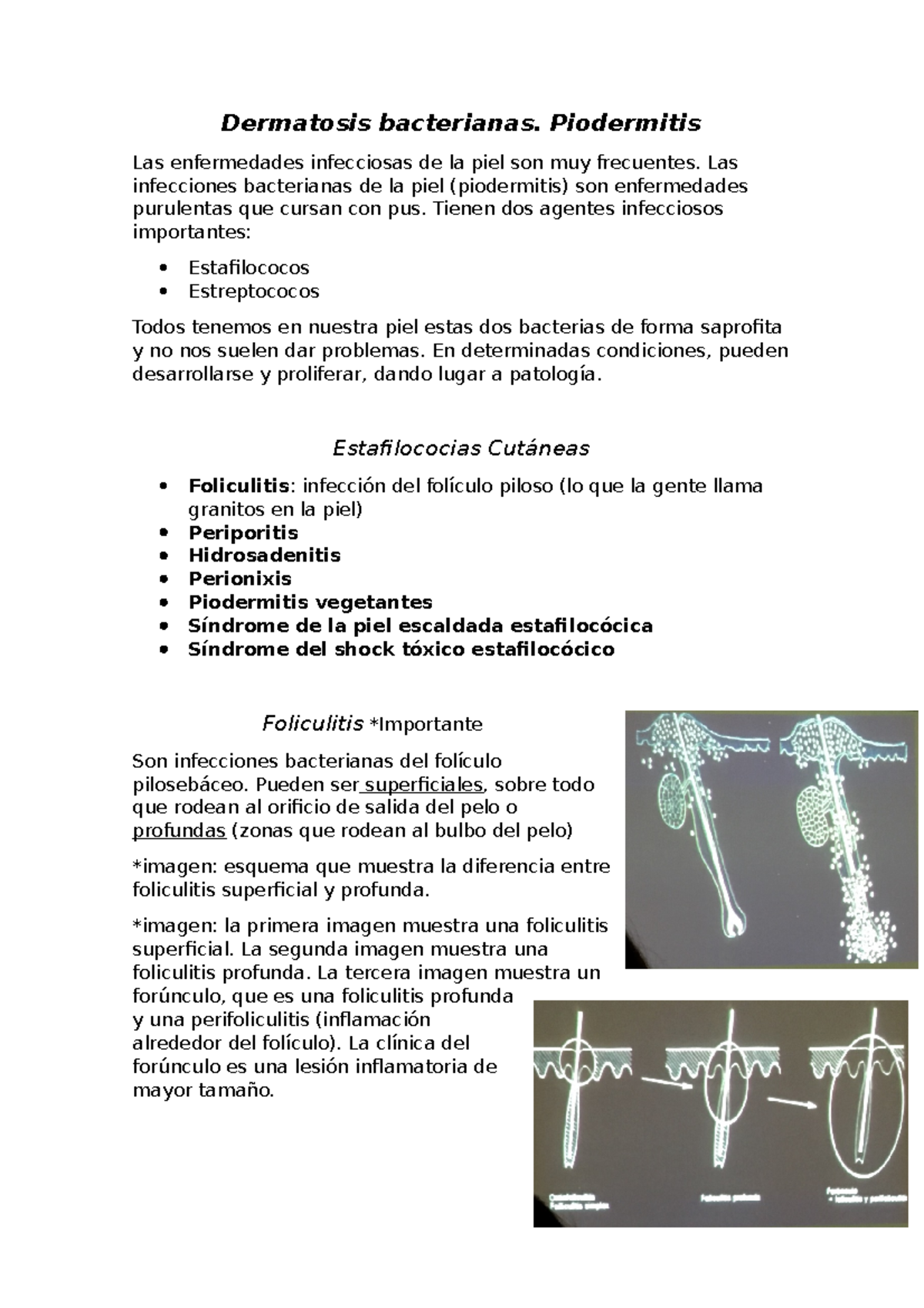 Dermatosis bacterianas. Piodermitis - Dermatosis bacterianas ...