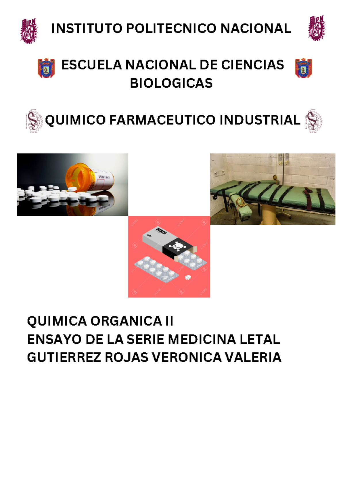 Ensayo DE LA Seire - INSTITUTO POLITECNICO NACIONAL ESCUELA NACIONAL DE ...