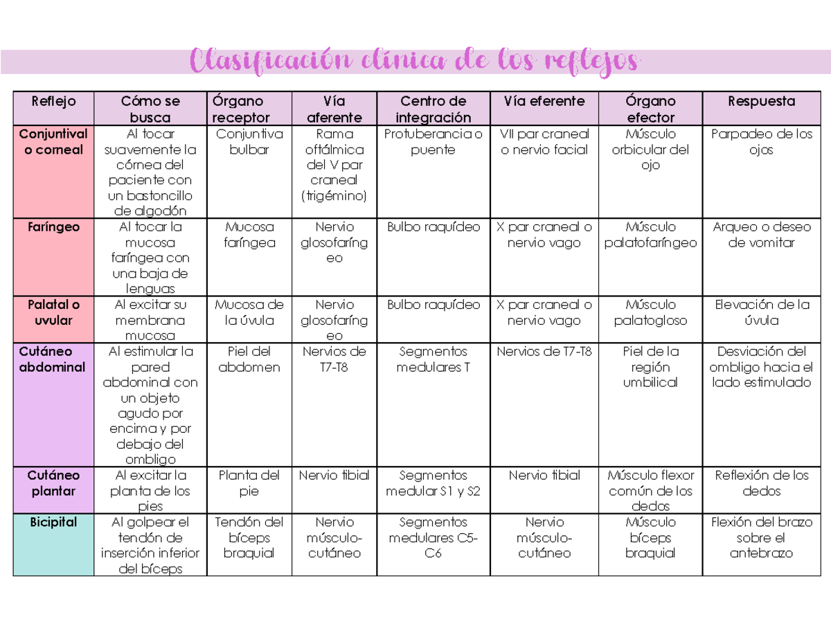Clasificación clínica de los reflejos - Clasificación clínica de los ...