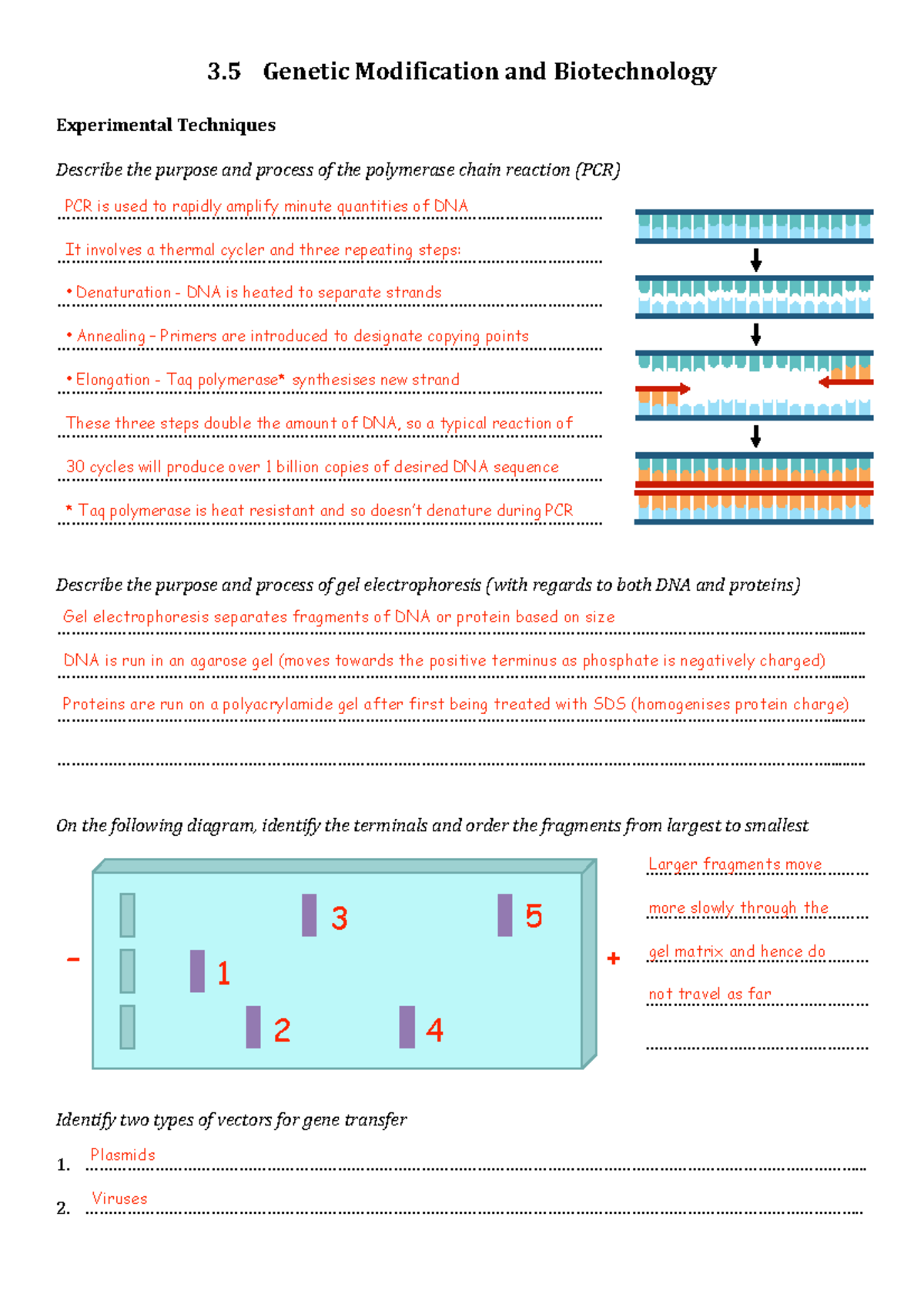 Topic 3.5 worksheet (answers) - 3 Genetic Modification and ...