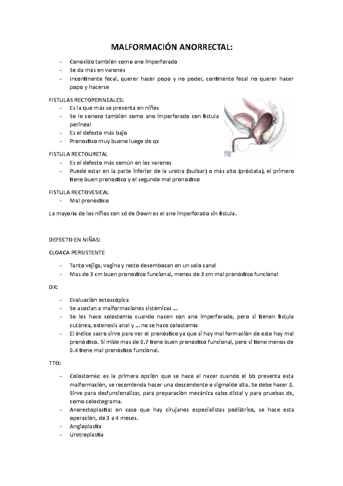 Malformación Anorrectal - MALFORMACIÓN ANORRECTAL: Conocido también ...