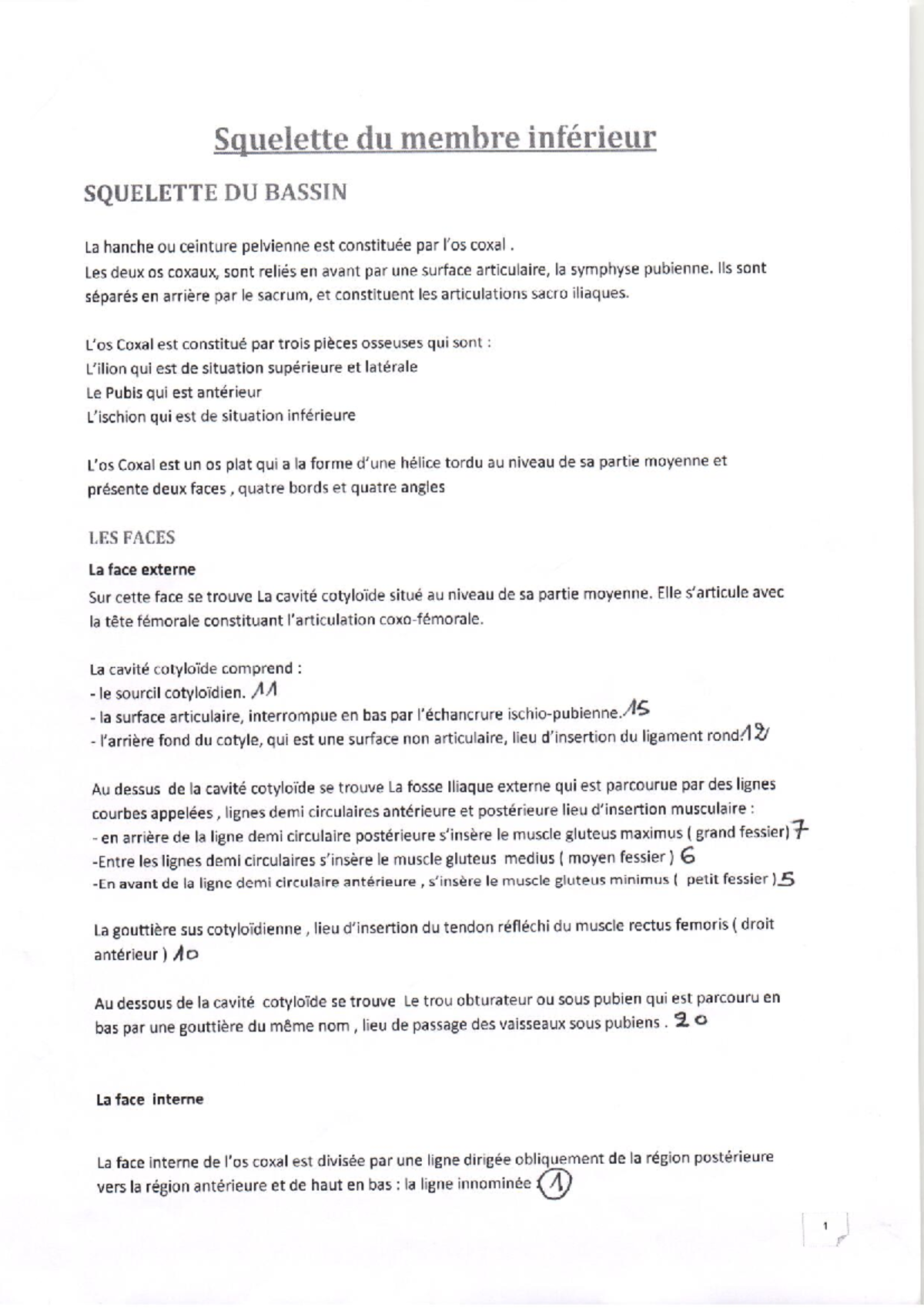 Polycop anatomie 021214 - immunologie - Studocu