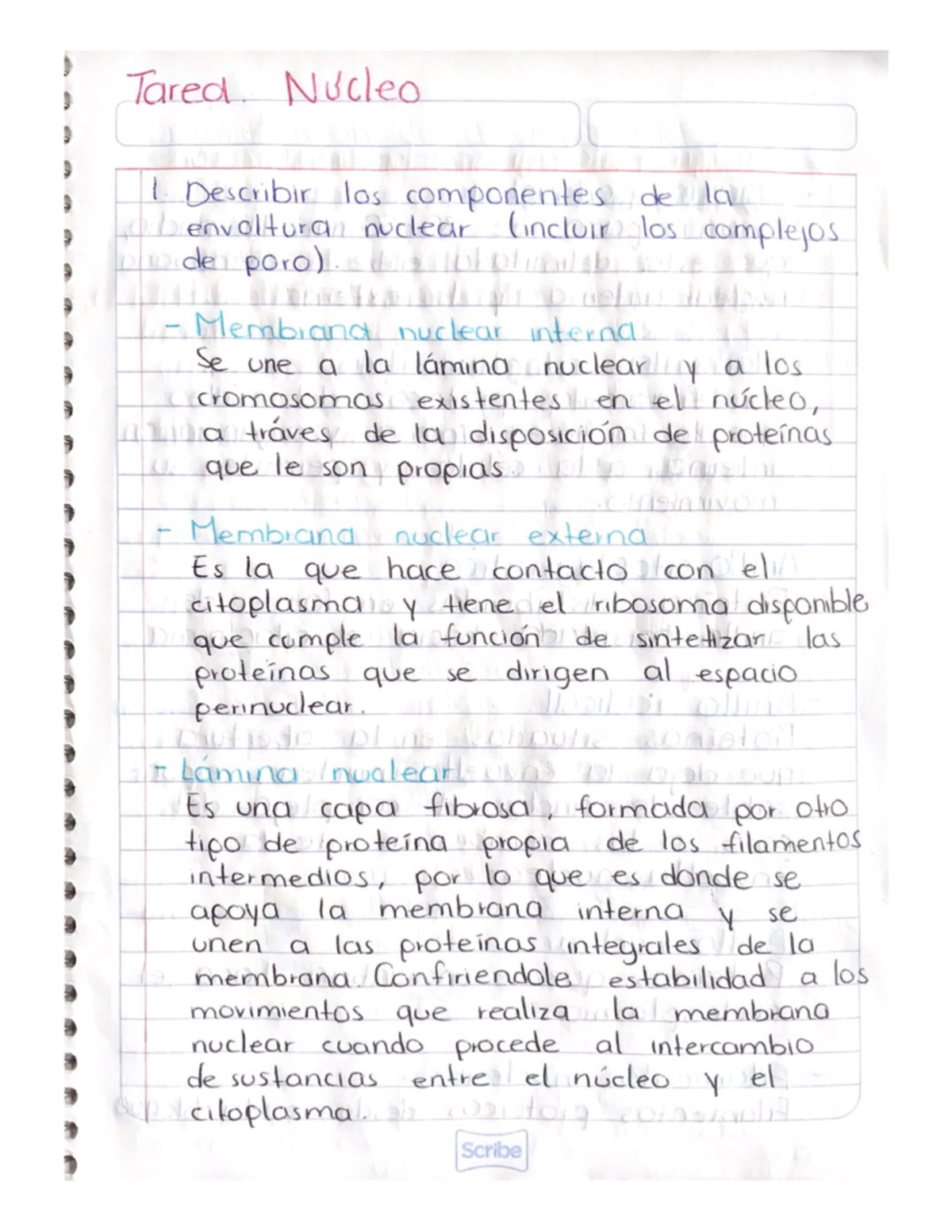 Tarea Nucleo. Eva Itzel Rdz Rdz. QFB 1E - Introducción a las Ciencias ...