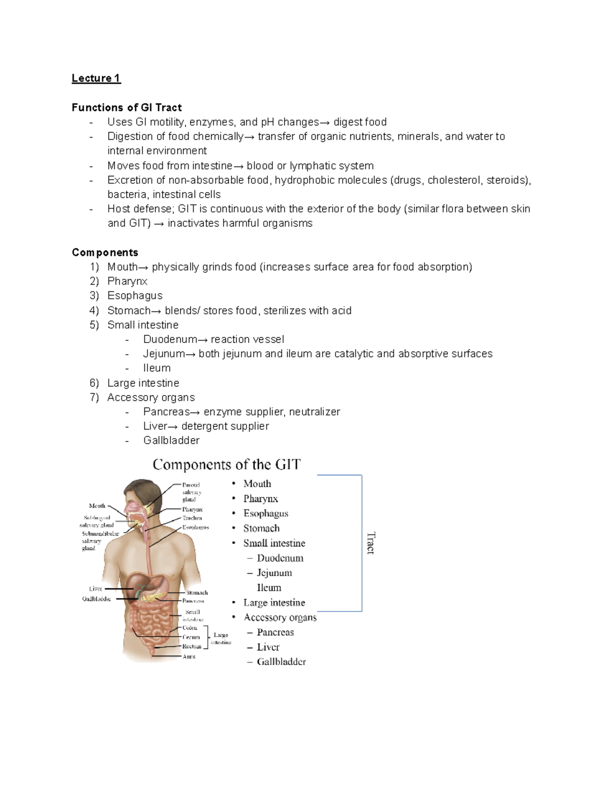 Physl 210B Gastrointestinal physiology - Lecture 1 Functions of GI ...
