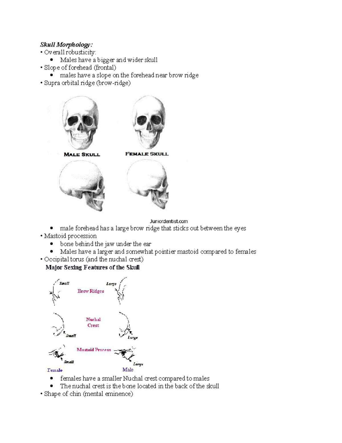 Anth360 study guide 2 - Skull Morphology: • Overall robusticity: Males ...