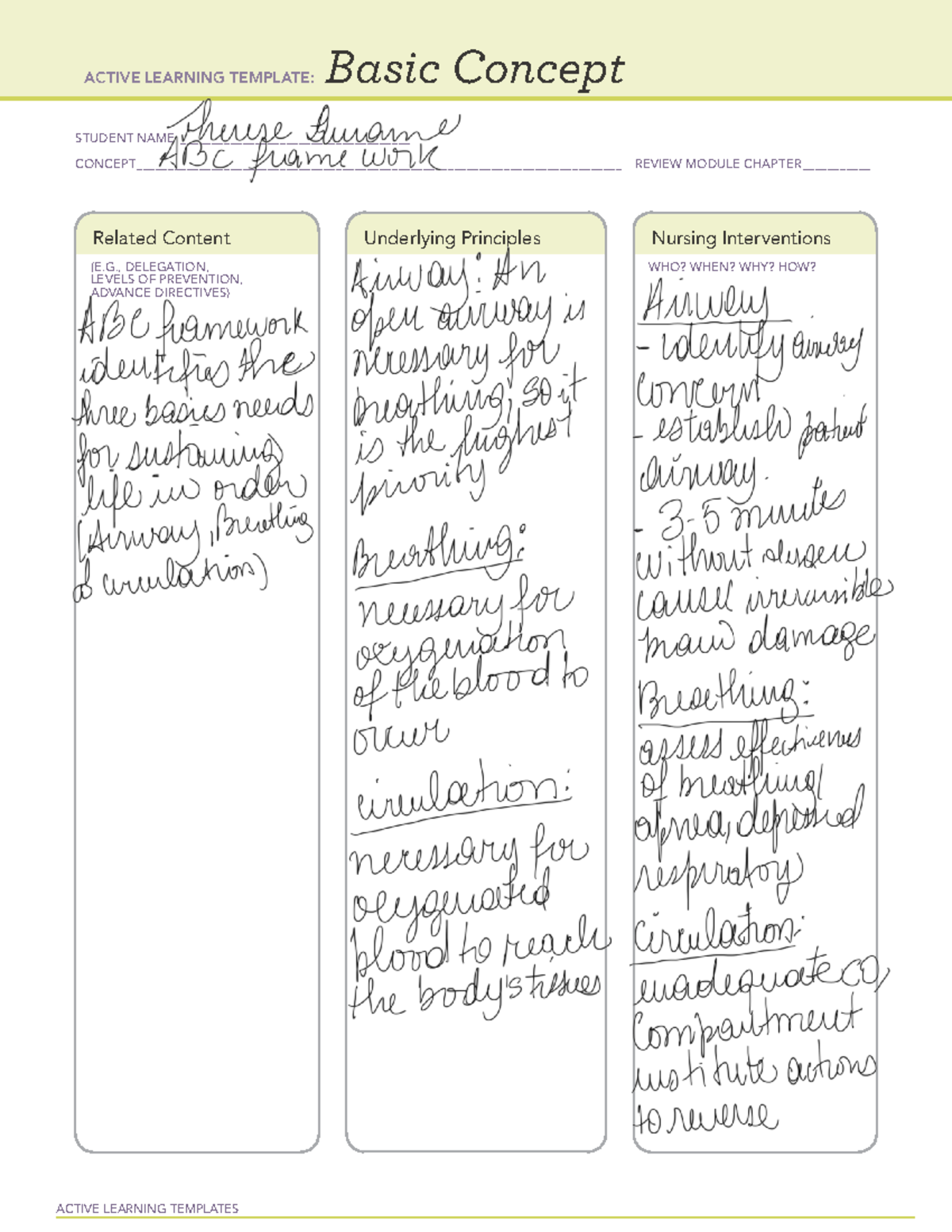 Basic Concept blank - Ati templates - NURN 300 - ACTIVE LEARNING ...