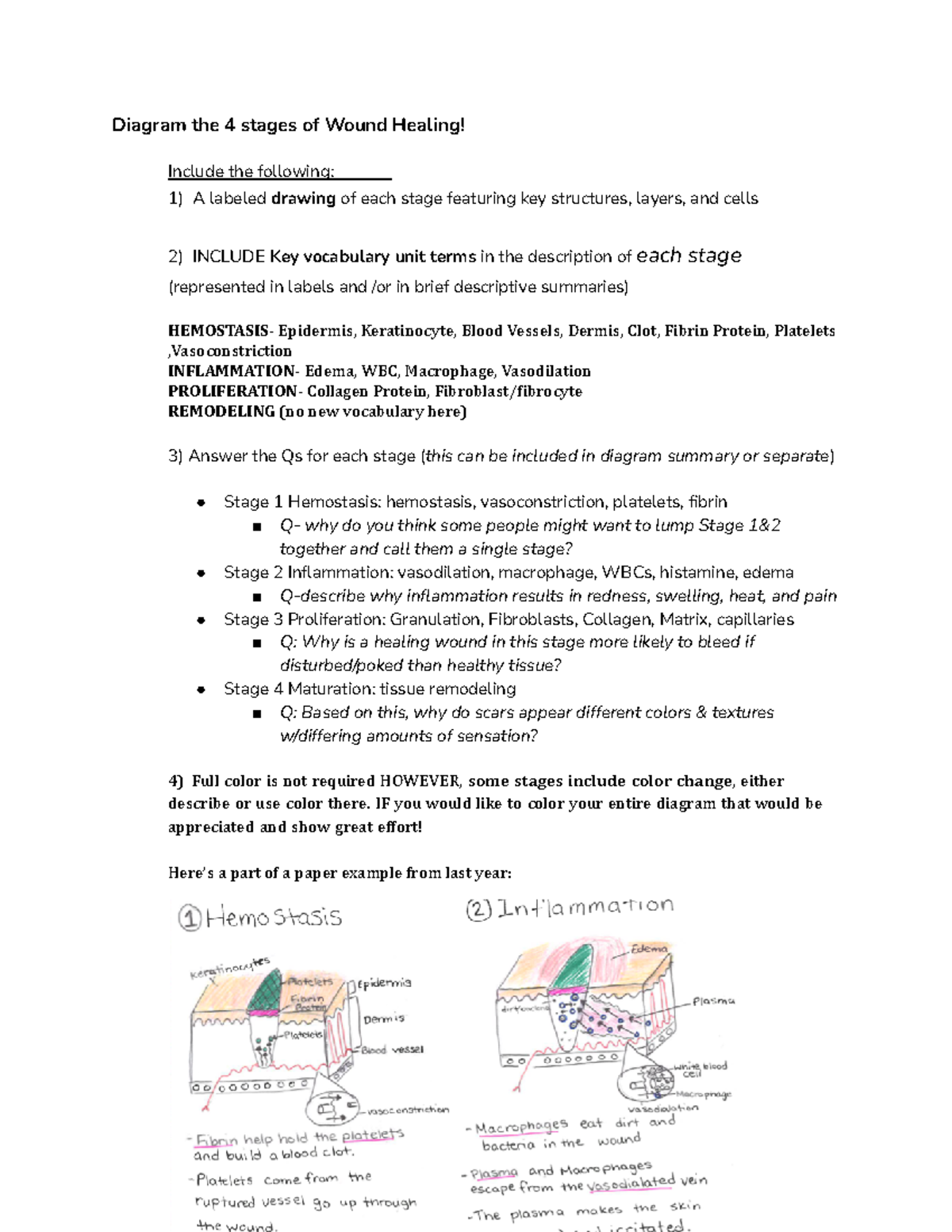 Copy of 4 Stages of Healing Poster - Diagram the 4 stages of Wound ...