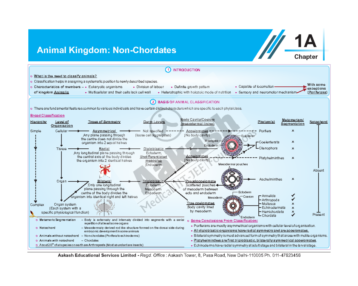 Zoology - Chh ii - Chapter 1A Animal Kingdom: Non-Chordates 2 BASIS OF ...