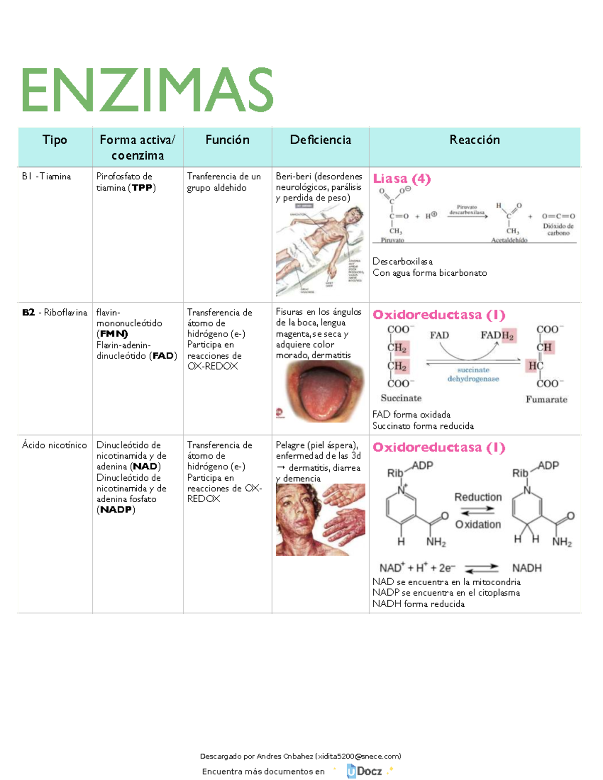 Bioquimica-enzimas - Bioquimica de las enzinas esto nos ayudara a saber ...