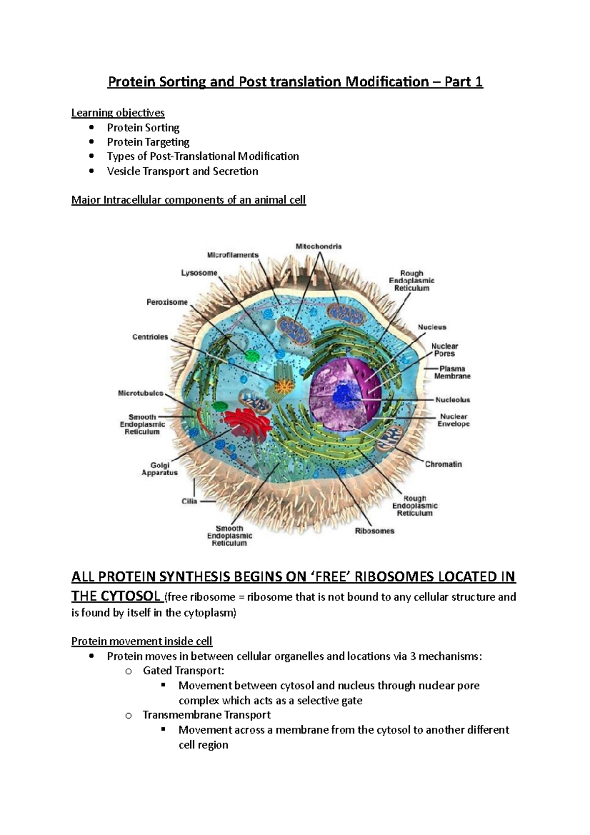 Protein Sorting and Post translation Modification - Part 1 - Lt 15 ...