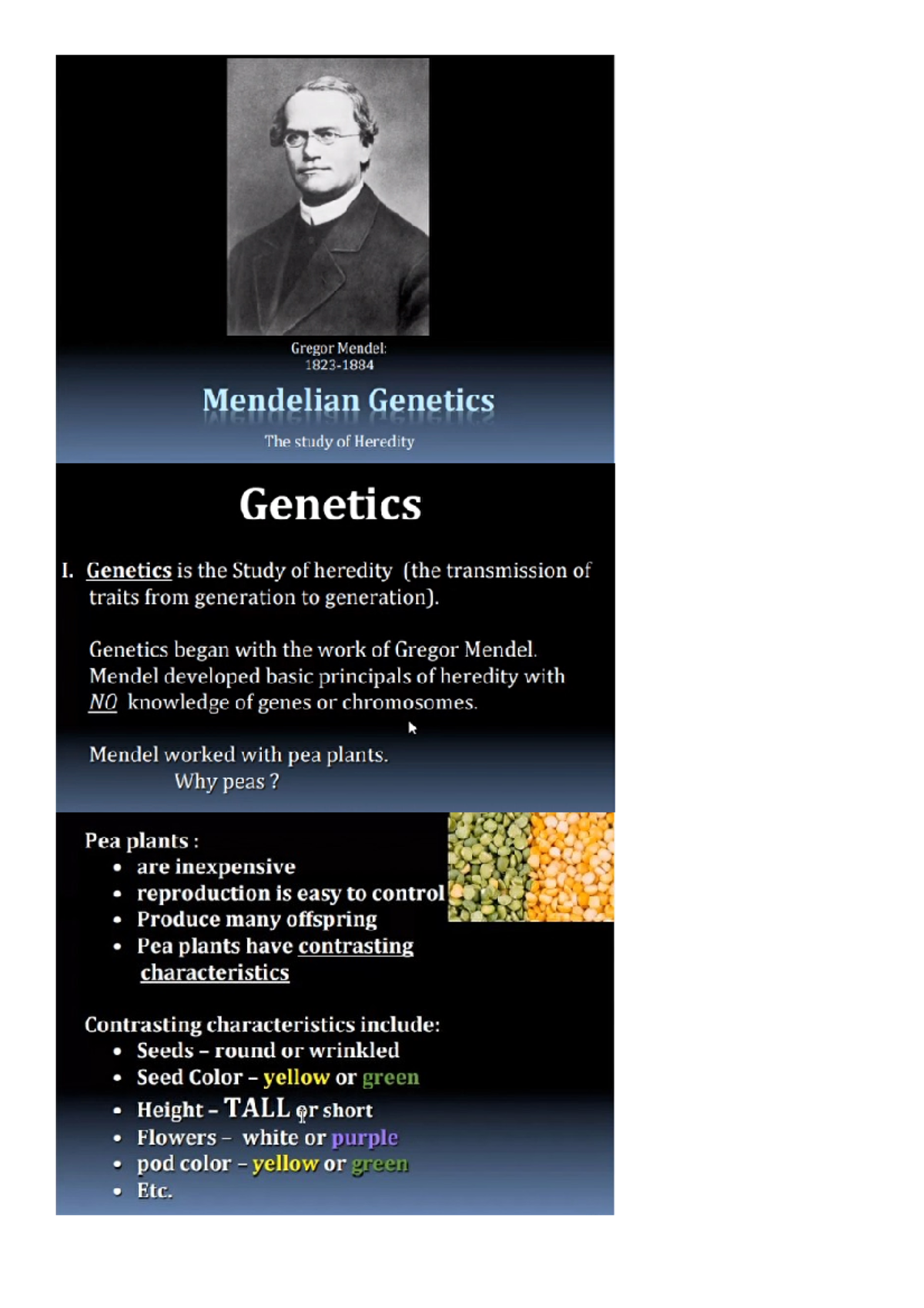Biology Corner Mendelian Genetics at Darren Pennington blog