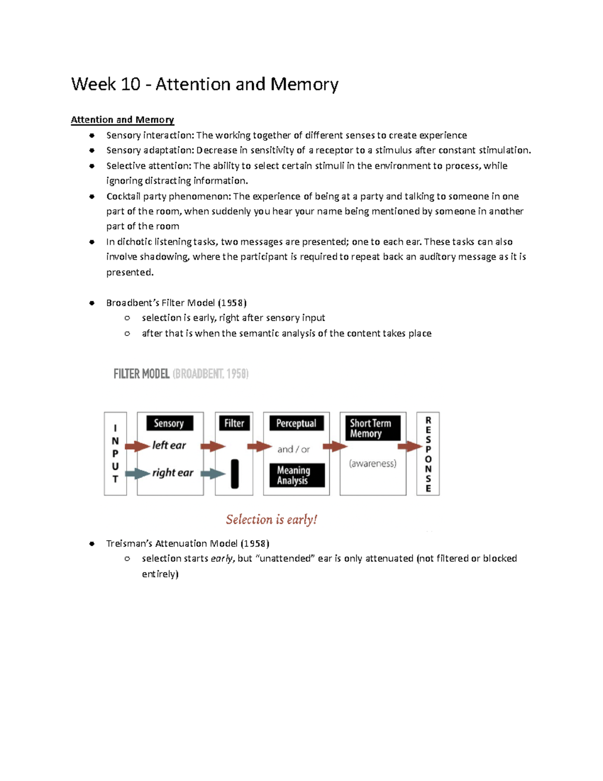 Psyc 100a Week 10 Notes Week 10 Attention And Memory Attention And Memory Sensory 8816