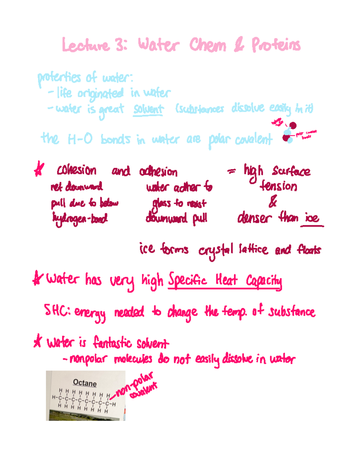 Lecture 3 - Professor Chapman - Lecture 3 Water Chem Proteins ...