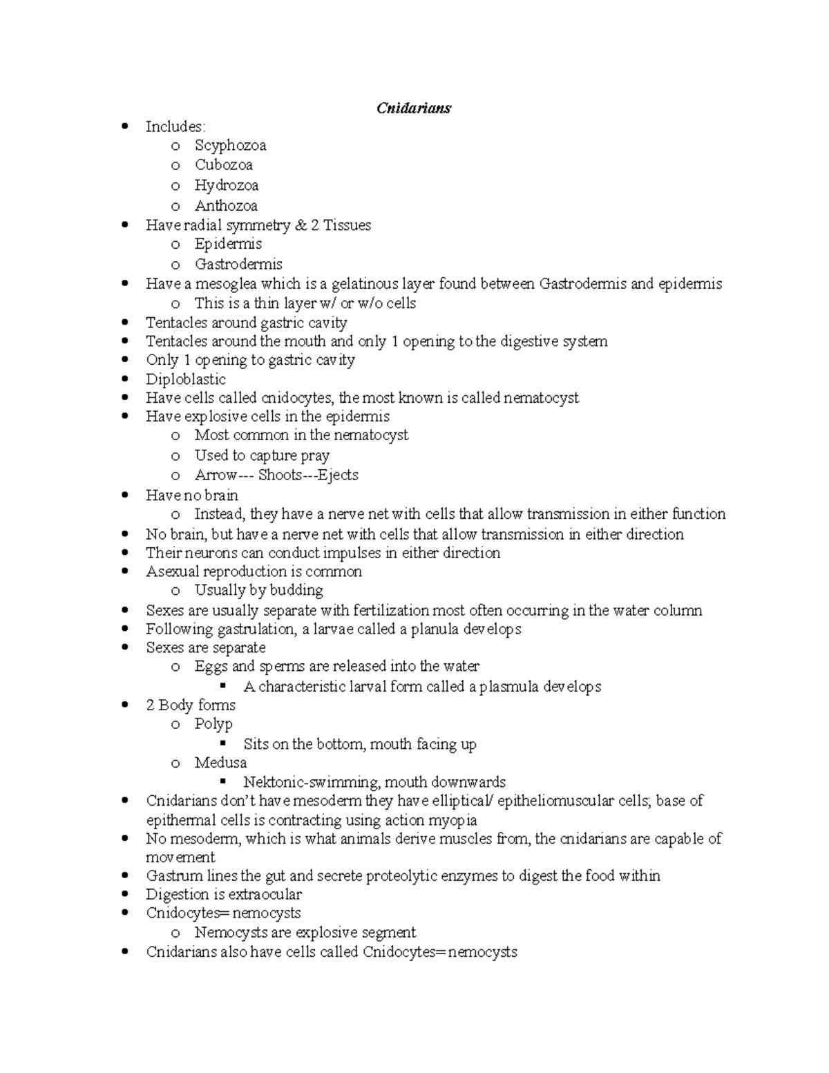 Cnidarians - Cnidarians Includes: o Scyphozoa o - Studocu