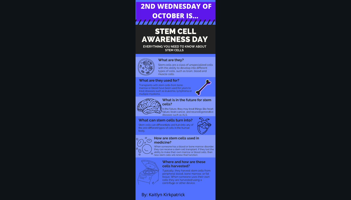 Stem Cell Awareness Day Capstone Final Project - STEM CELL AWARENESS ...