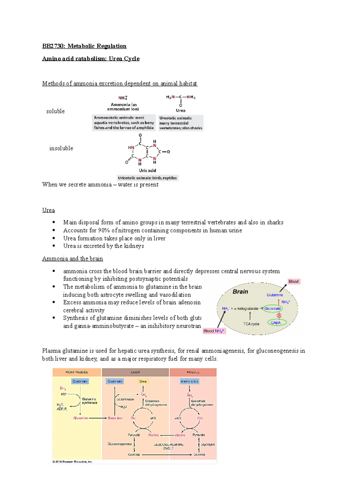 BB2730 urea - notes - BB2730: Metabolic Regulation Amino acid ...