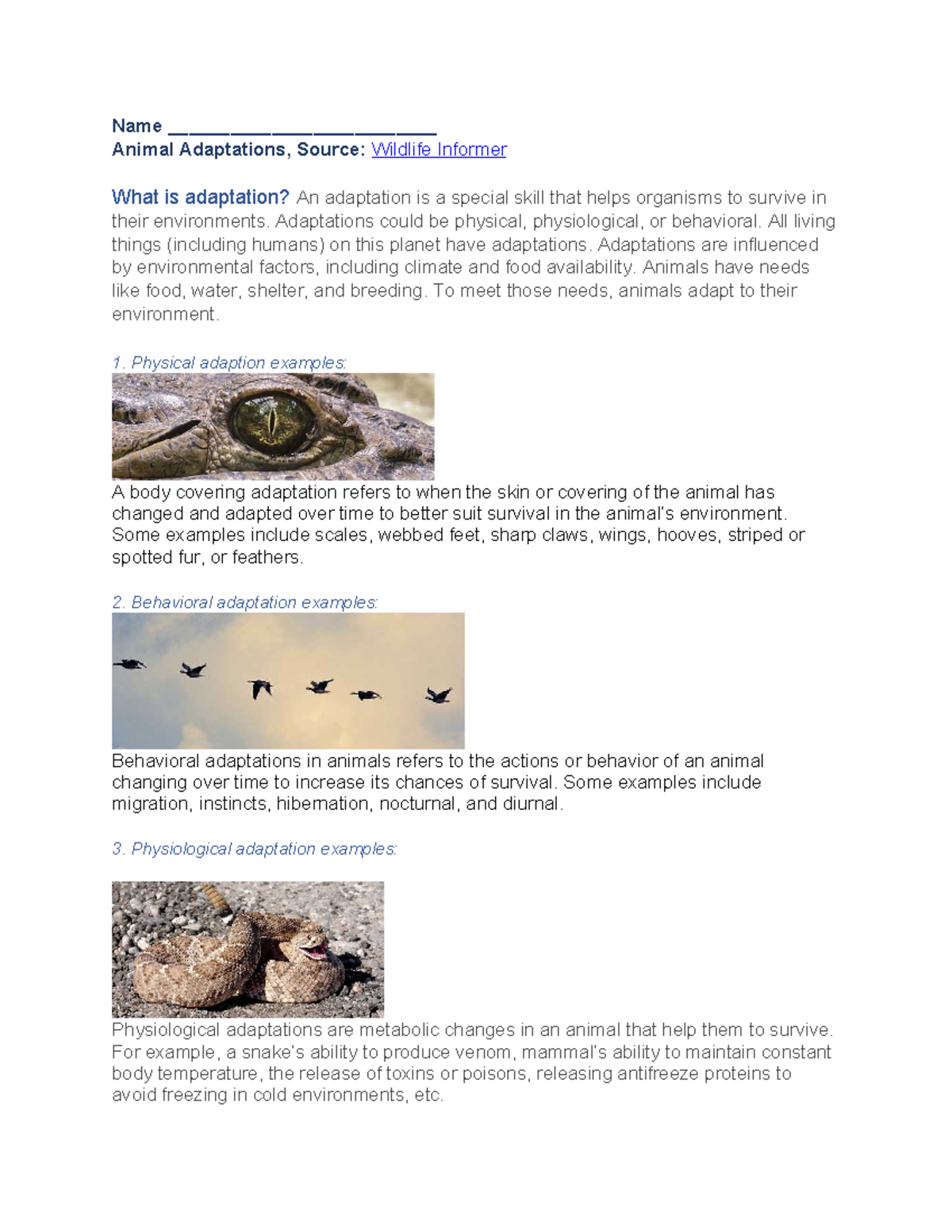Animal Adaptations Worksheet - Name __________________________ Animal ...