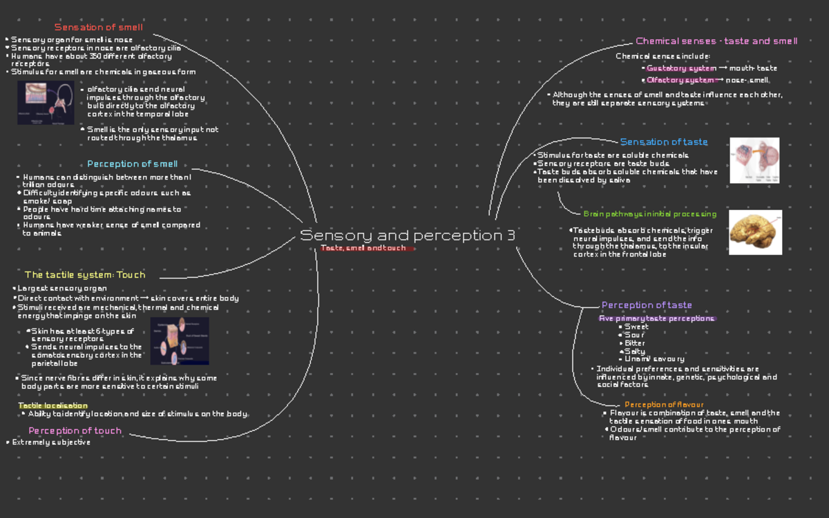 Taste, smell and touch - Summary Psychology - Sensory and perception 3 ...
