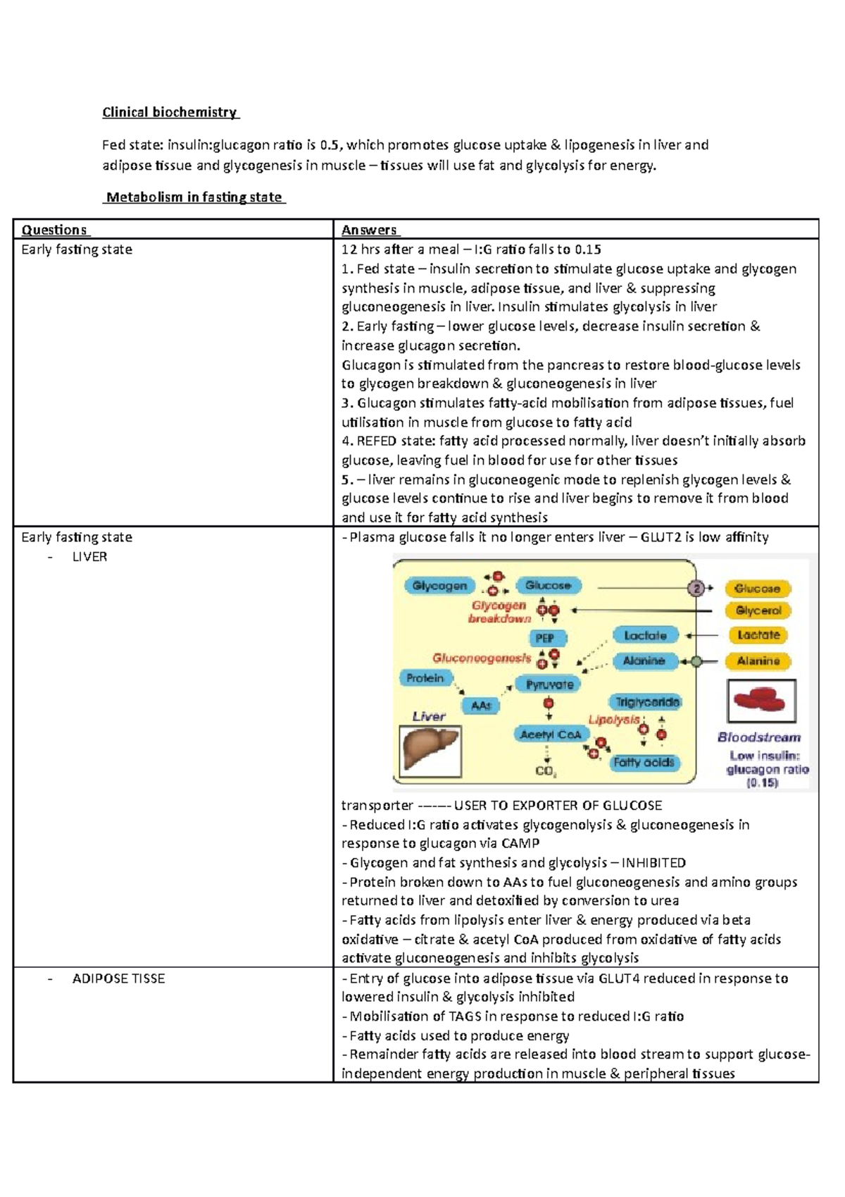 Metabolism in fasting state - Clinical biochemistry Fed state: insulin ...