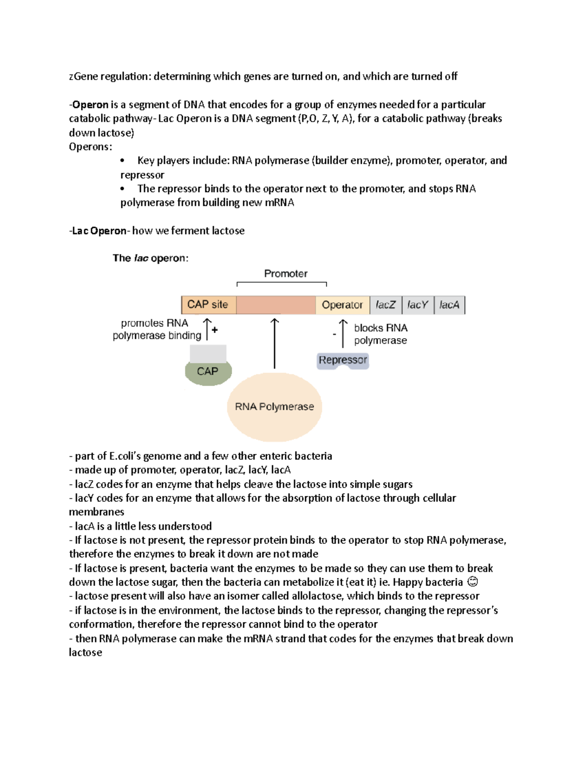 Micro Session Review Sheet - zGene regulation: determining which genes ...