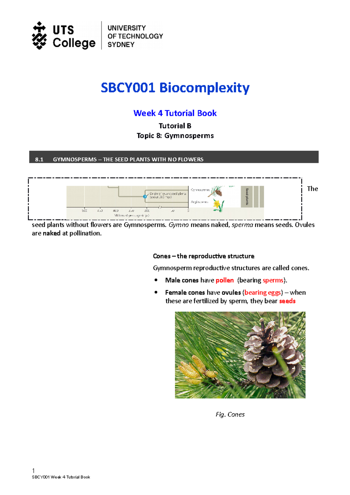 SBCY Week 4 - lecture notes - SBCY001 Biocomplexity Week 4 Tutorial ...