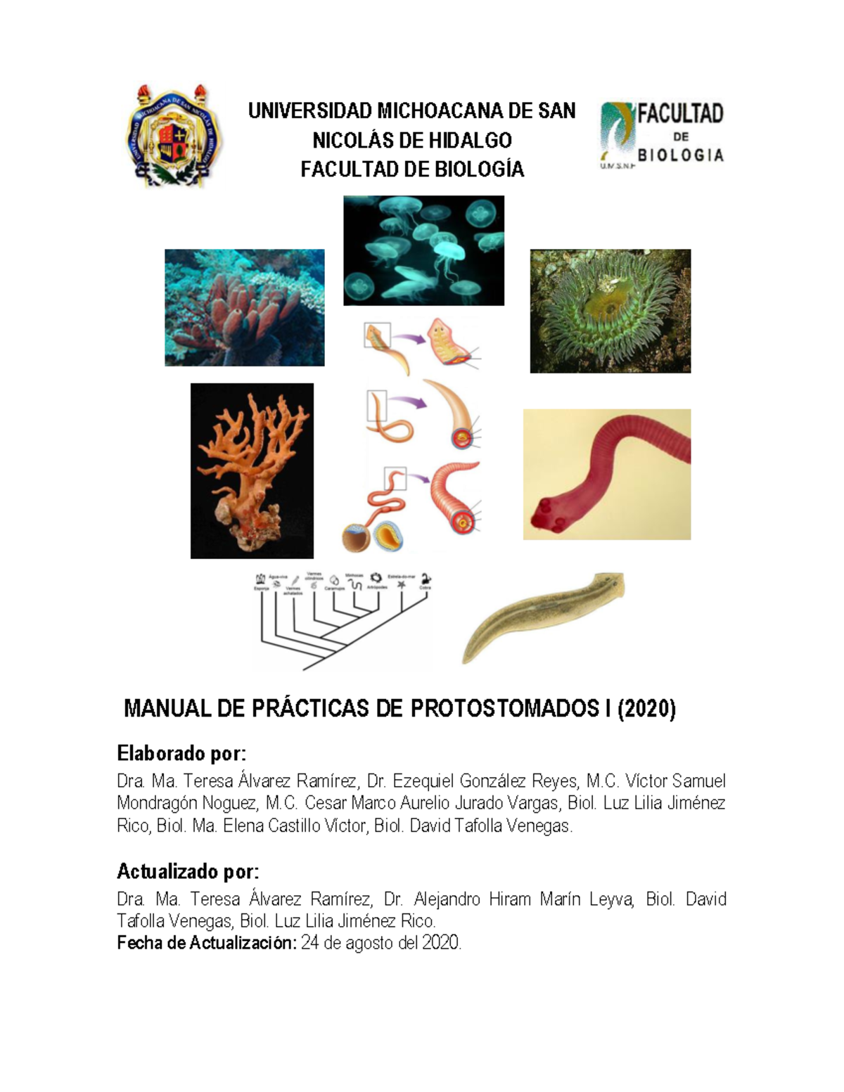 Manual-protostomados I - UNIVERSIDAD MICHOACANA DE SAN NICOLÁS DE ...