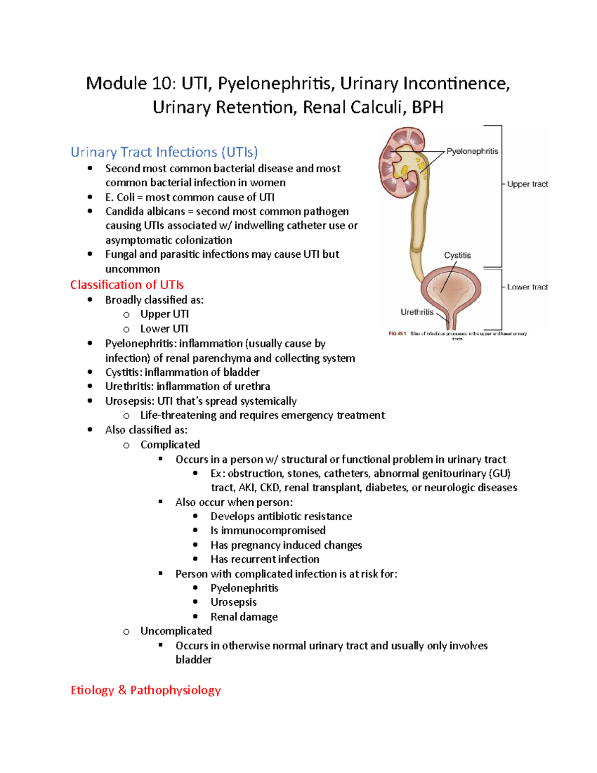Module 10 - Notes - Module 10: UTI, Pyelonephritis, Urinary ...