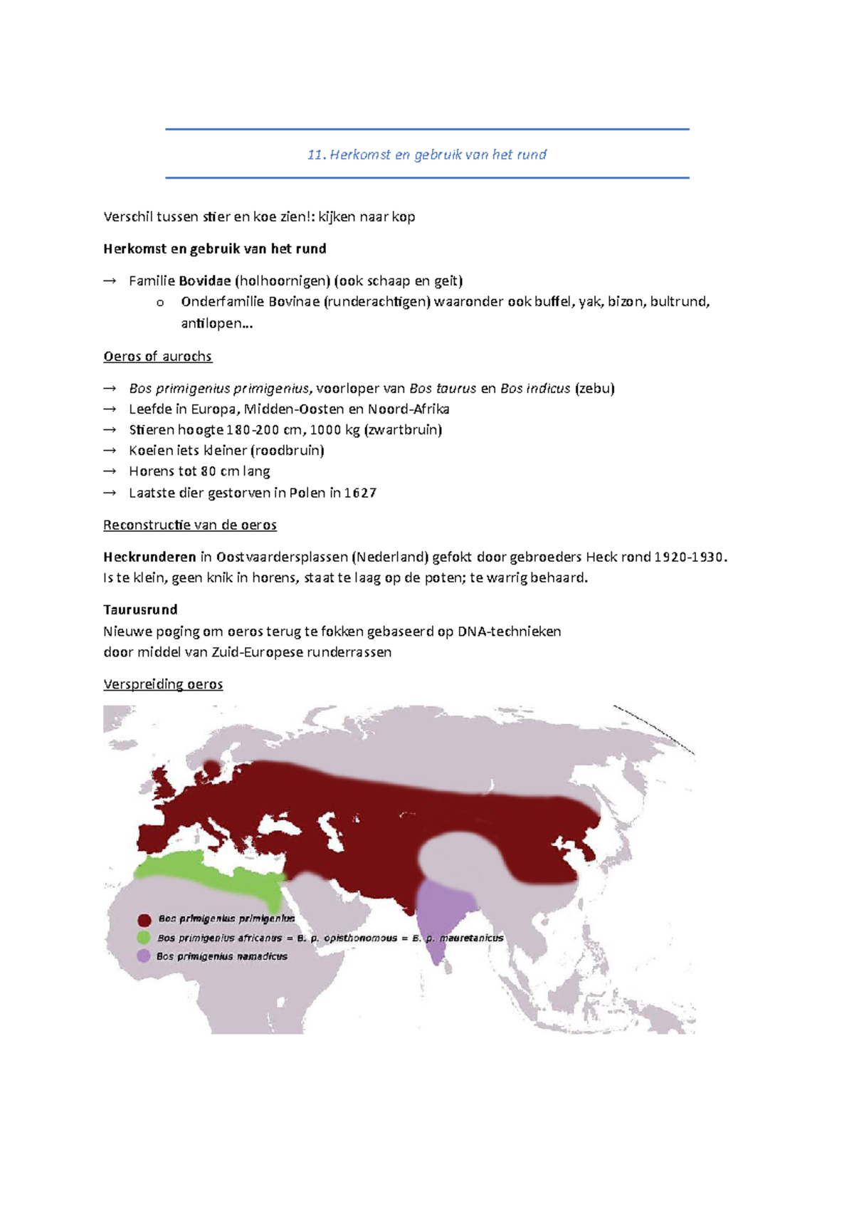 11. Herkomst en gebruik van het rund - 11. Herkomst en gebruik van het ...
