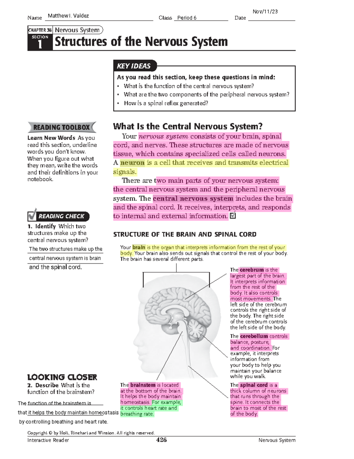 Kami Export - Human Body-4-5-6-Nervous System - SECTION 1 Structures of ...