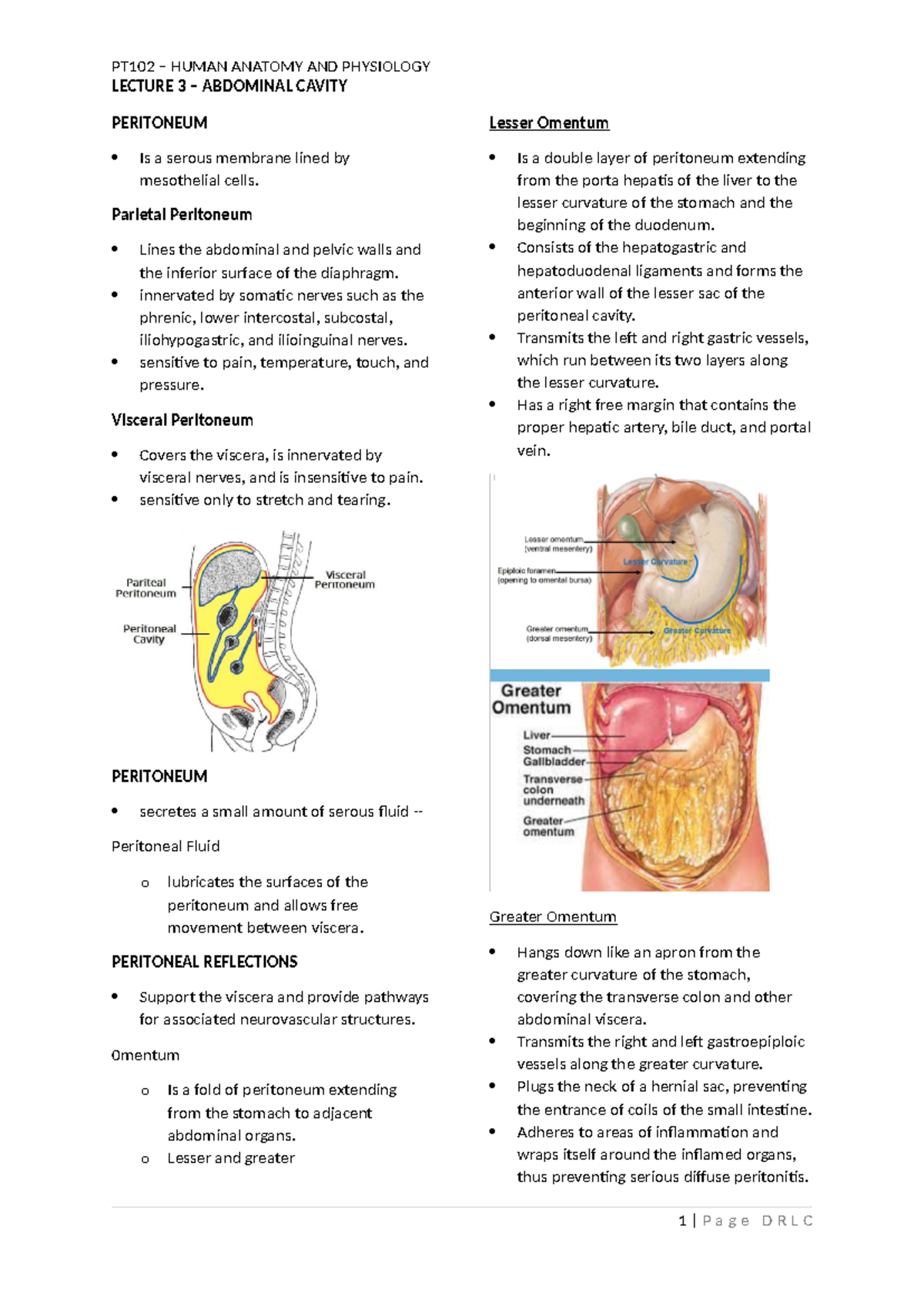 Abdominal Cavity - LECTURE 3 – ABDOMINAL CAVITY PERITONEUM Is a serous ...