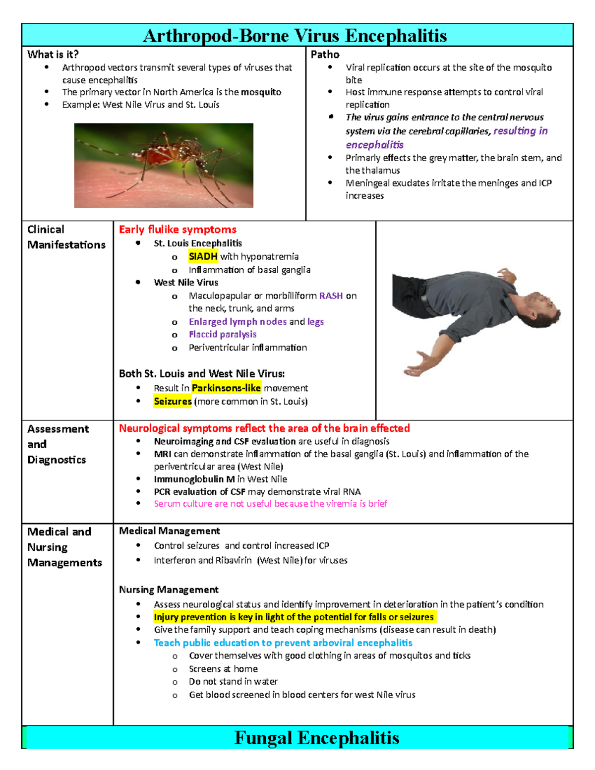Class 12 Encephalitis - Virus Encephalitis What is it? Arthropod ...