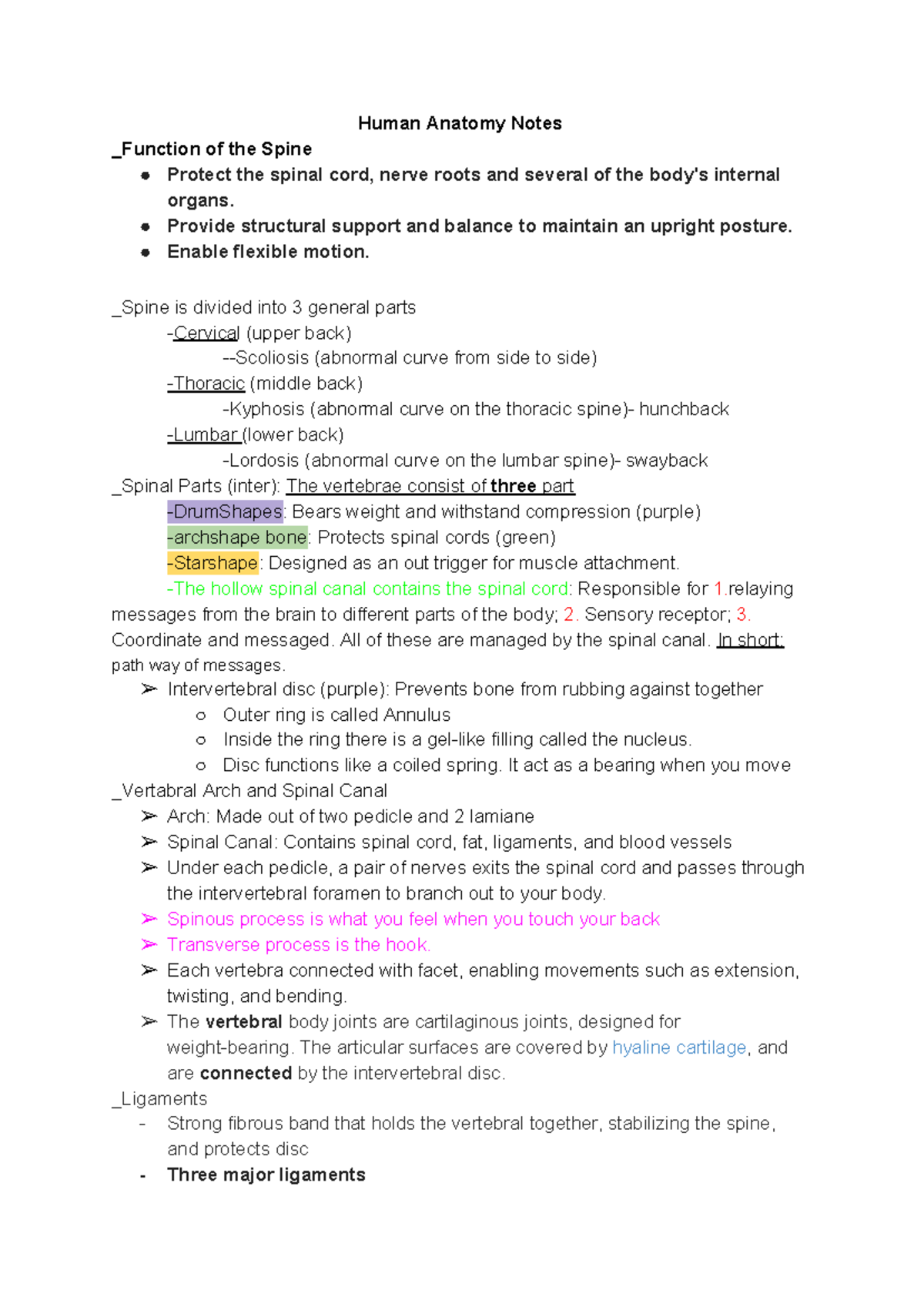 Human Anatomy Notes - Human Anatomy Notes _Function of the Spine ...