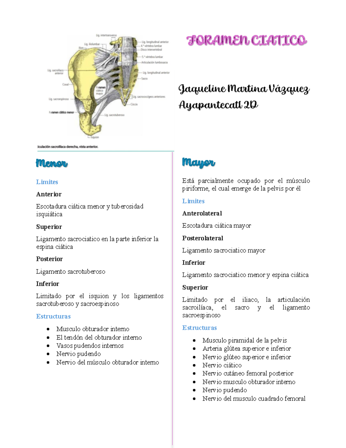 Foramen ciatico - Descripción de estructuras que pasan por los ...