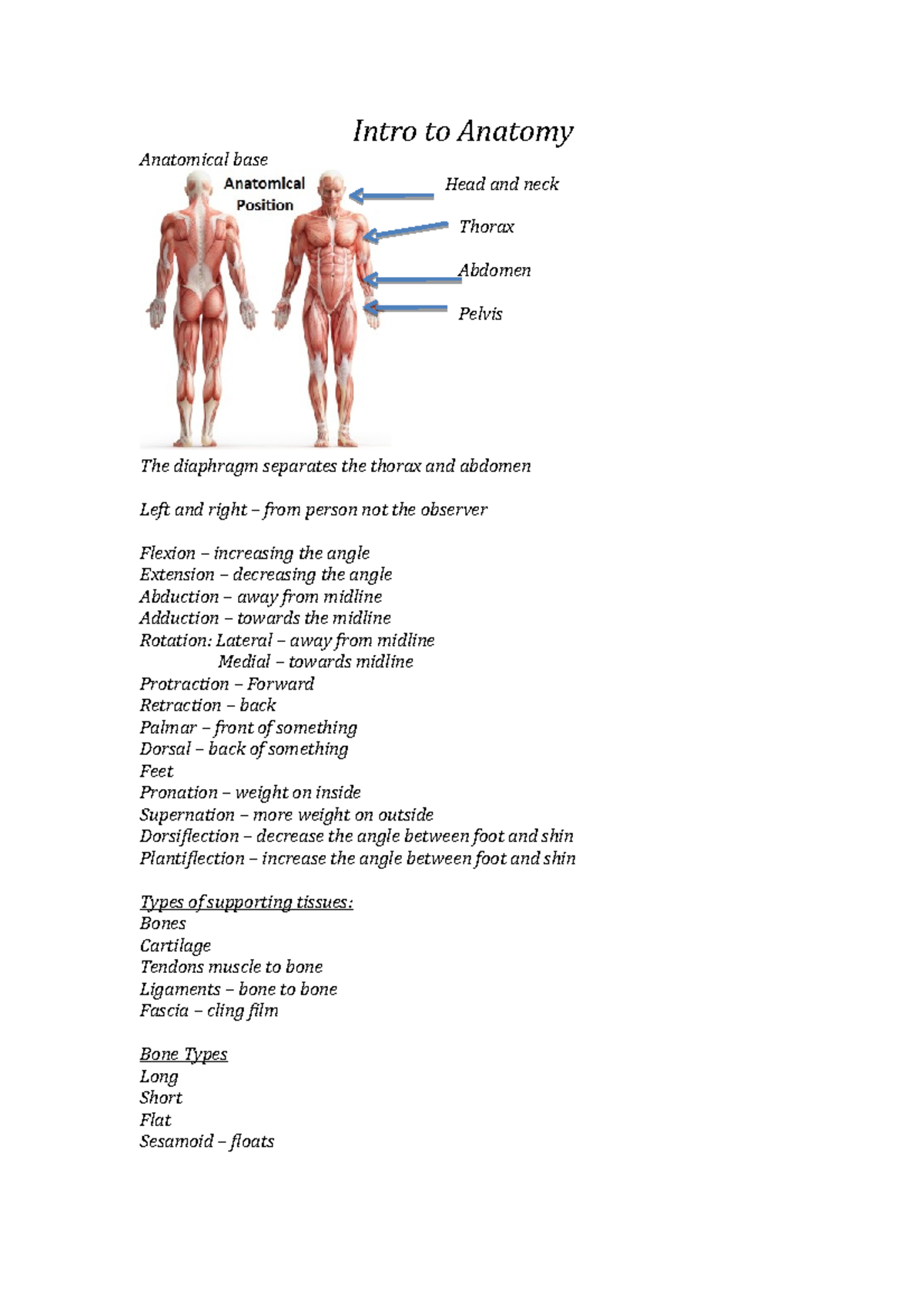 Intro to Anatomy - Lecture notes semester 1 first year - Intro to ...