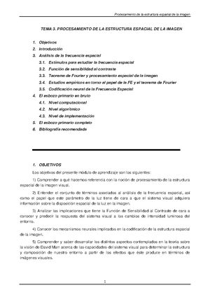 TEMA 2. Procesos visuales básicos Diapositivas CON Notas - El epígrafe 1 especifica los aspectos ...