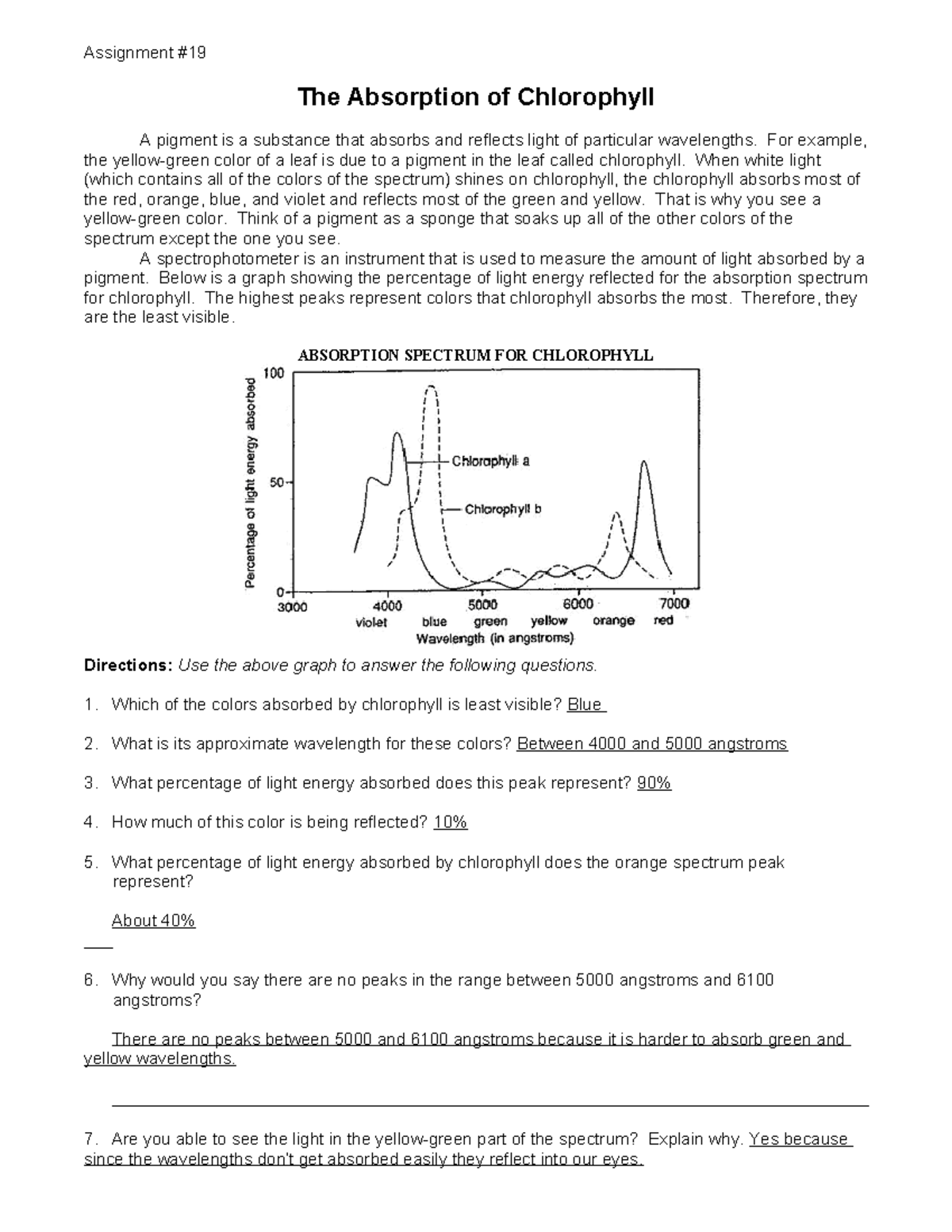 Assignment #19 The absorption of chlorophyll - Assignment # The ...