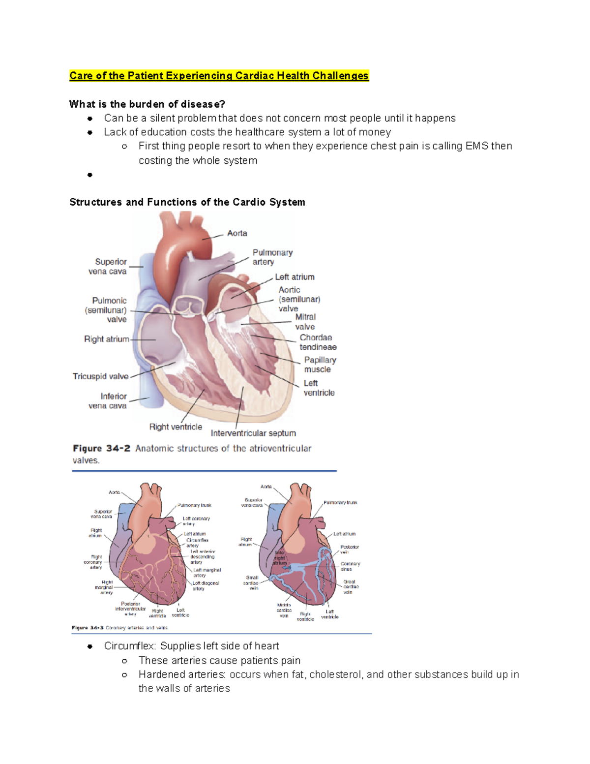 Medsurge week 2 - Week 2 lecture notes from powerpoint - Care of the ...