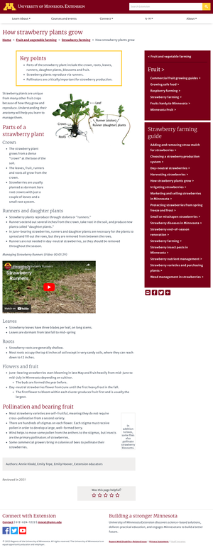 Nursery Project Plan - Report - PROJECT REPORT FOR AGRICLINIC & AGRI ...