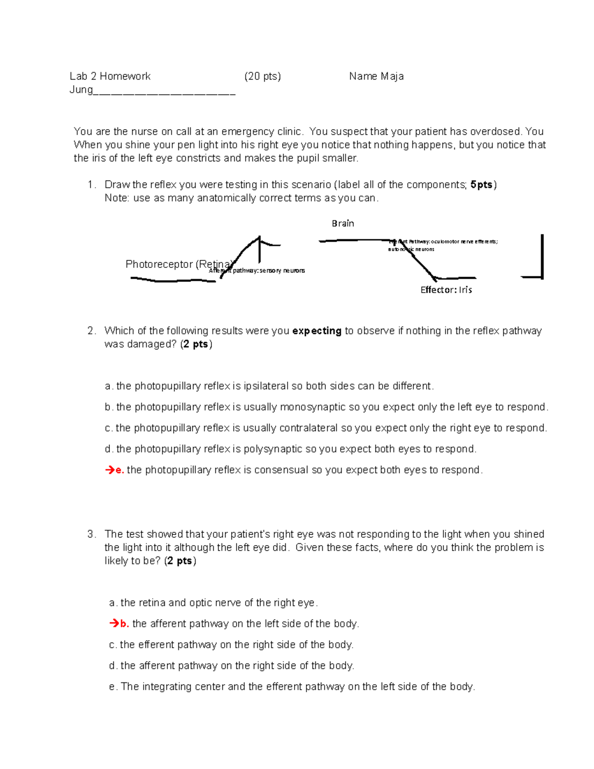 Lab 2 Homework Fall 2022 - Lab 2 Homework (20 pts) Name Maja Jung