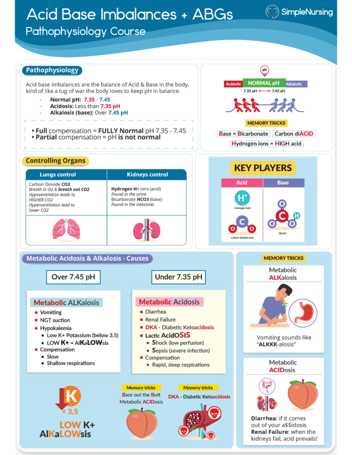 Photo - Computer science and engineering - Studocu