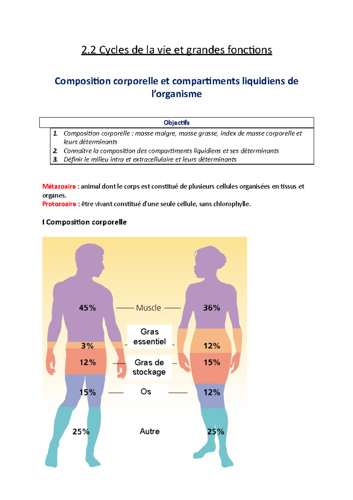 Compositions corporelles et comportements liquidiens de l'organisme - 2 ...