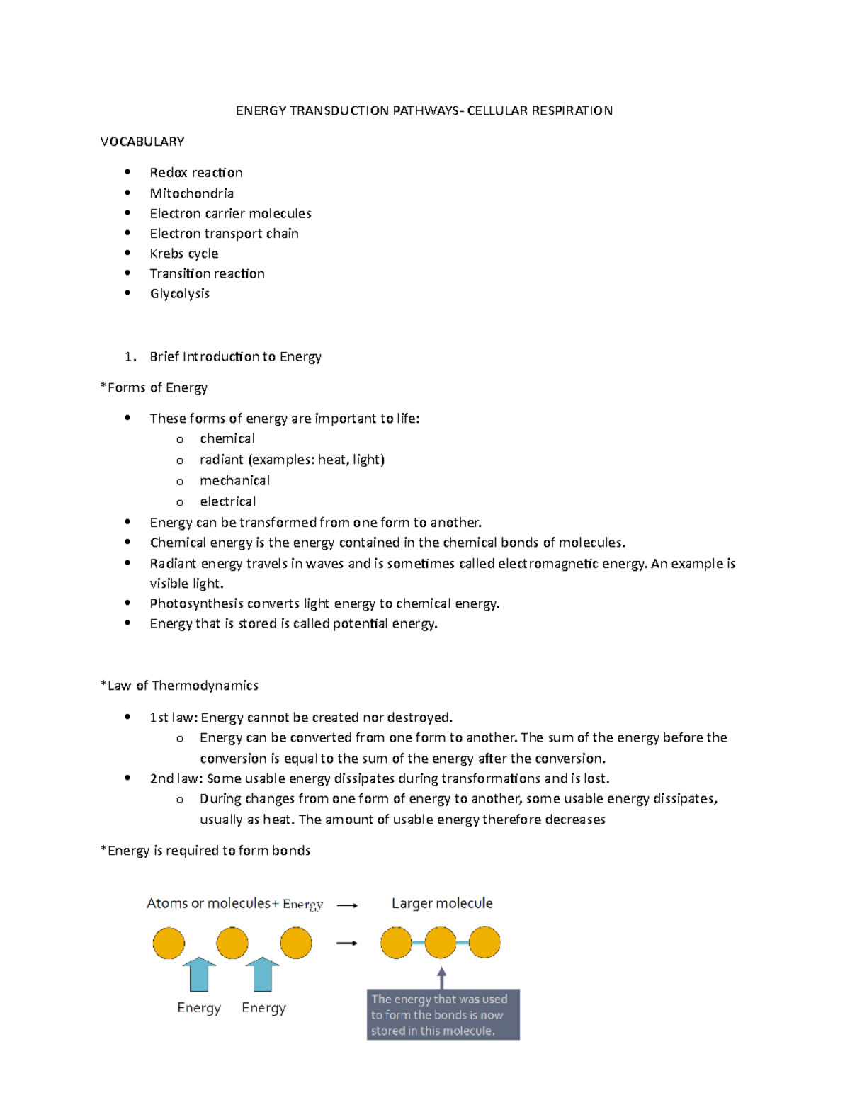 Energy Transduction Patchways- Cellular Respiration - ENERGY ...