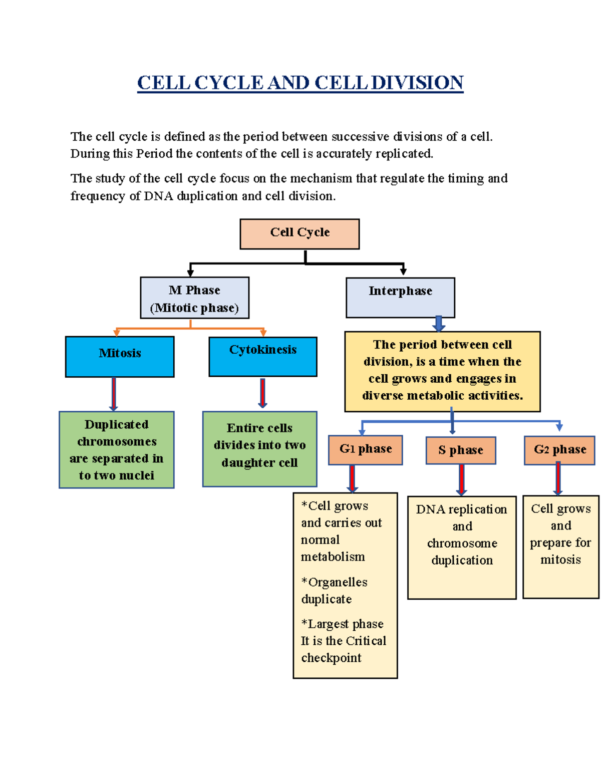 Cell cycle pdf - CELL CYCLE AND CELL DIVISION The cell cycle is defined ...