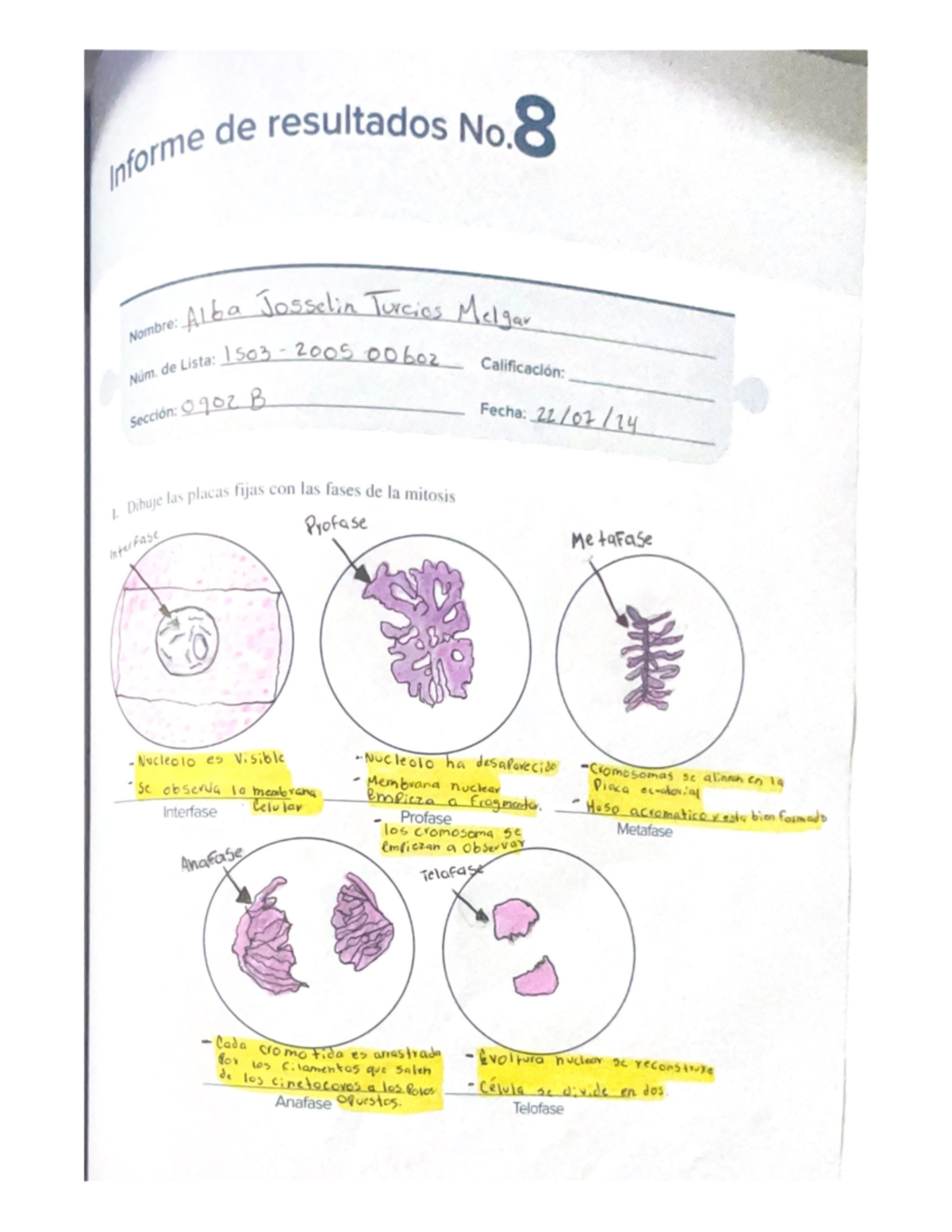 Informe de resultados No8 - 8 Nombre: Alba Josselin Turcios Melgar Num ...