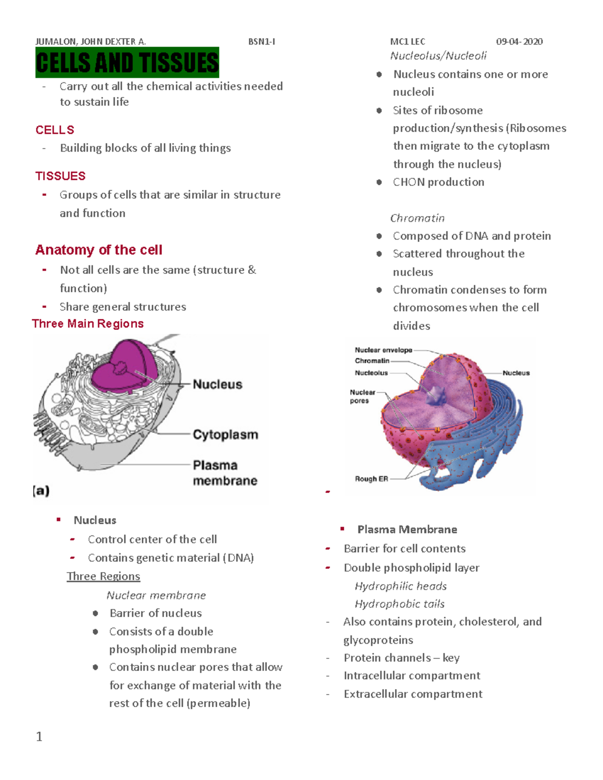 Cells & Tissues - Cell and tissue - CELLS AND TISSUES - Carry out all ...