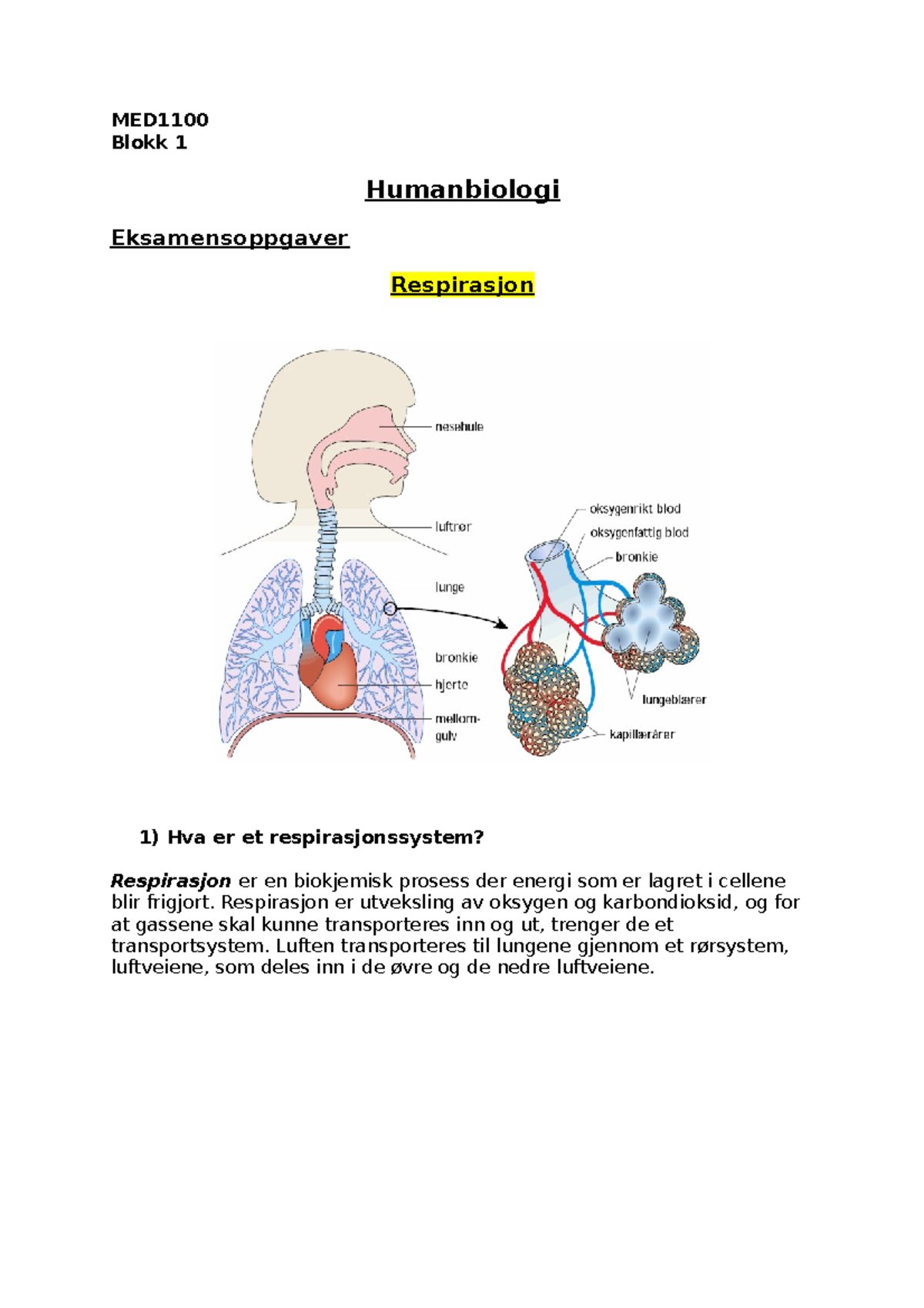 Humanbiologi - not - MED Blokk 1 Humanbiologi Eksamensoppgaver ...