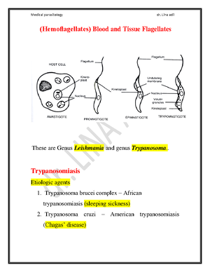 Intestinal and luminal protozoa - gingivalis is which lives in the ...