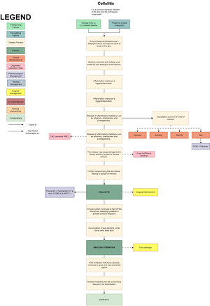 Assessment-Tool Surgical-Ward-1st Rot - XAVIER UNIVERSITY-ATENEO DE ...